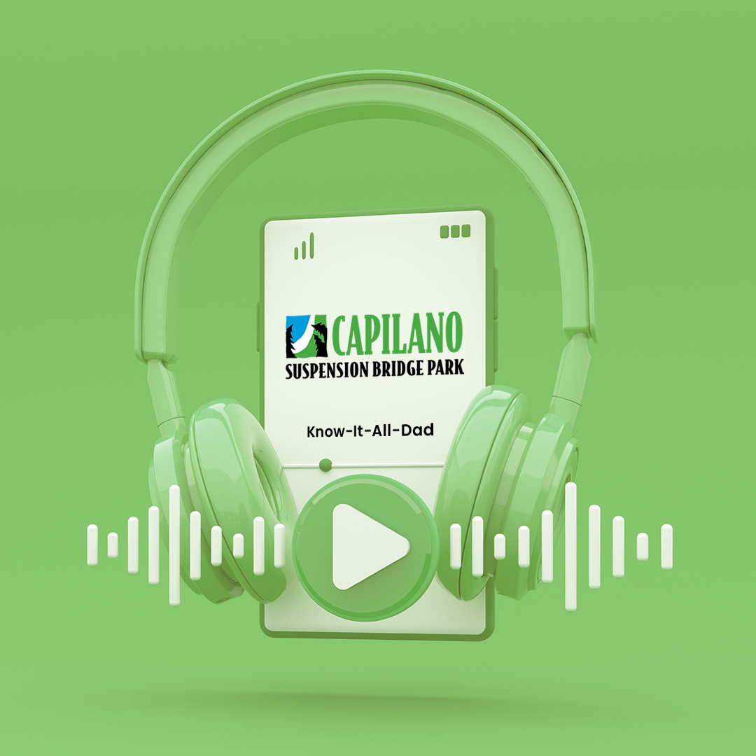 Know-It-All-Dad - Spring Creative Advertising Branding Design Agency ...